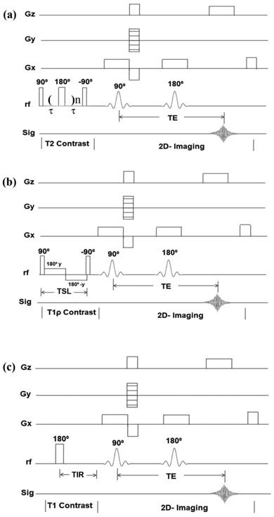 Quantitative Measurement Of T2 T1ρ And T1 Relaxation Times In