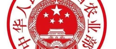 2021国审初审品种公示玉米品种913个 水稻679个 棉花39个大豆86个 审定