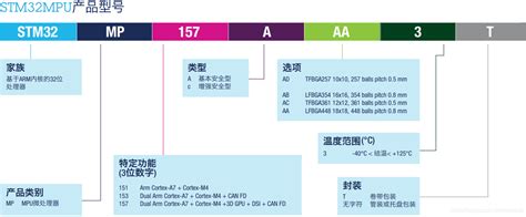 Stm32命名，flash分布，扇区【ql君】qlexcel 开放原子开发者工作坊