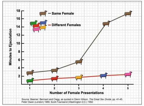 Transcript Of The Great Porn Experiment TEDx Glasgow 2012 Your Brain On Porn