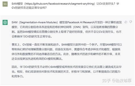 Sam（segment Anything Model）让cv走到尽头？学cv的研究生还能正常毕业吗？怎么使用sam？ 知乎