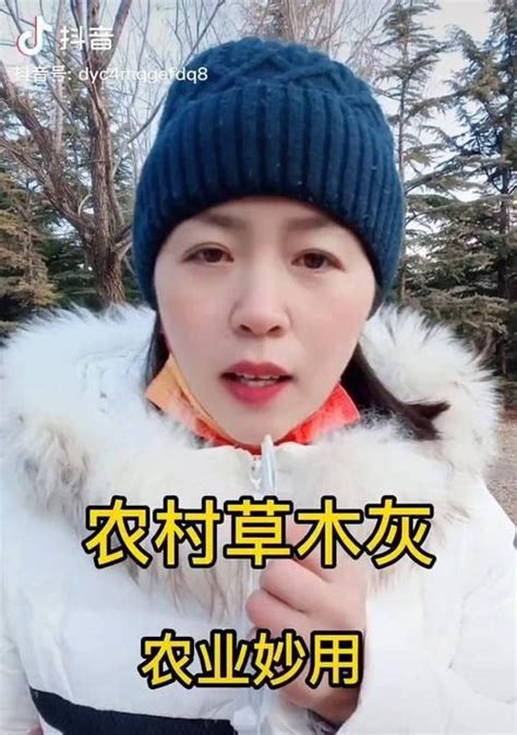 探究抖音的定义及意义 8848seo