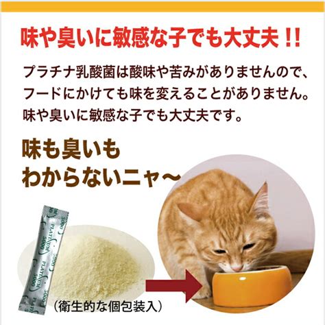 【楽天市場】乳酸菌 ペット サプリ 犬 猫用 プラチナ乳酸菌5000α 初回限定 お試し2個まで（2個ご購入で送料無料）犬乳酸菌サプリメント