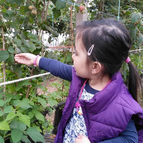 Craig Mackenzie Youtube