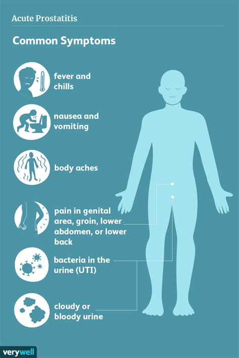 Prostatitis Types Symptoms Causes Treatment More