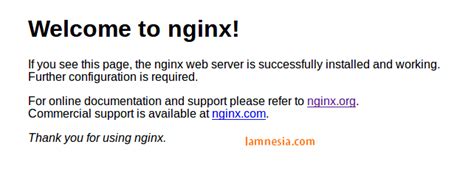 Cara Install Nginx Web Server Di Debian 12 Panduan Lengkap Lamnesia Media