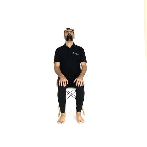 Seated Active Cervical Extension Estuary Clinic Topsham Exeter