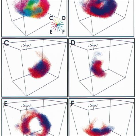 Anatomical Segregation Be Tween Two Functional Representations A Download Scientific