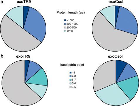 Protein Length Calculator At Edward Cramer Blog
