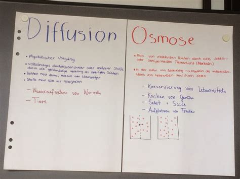 Bio Praktikum Zu Osmose Und Diffusion September 2014