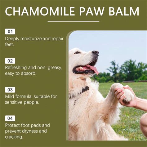 Cat And Dog Paw Care Balm Gentle Formula Deep Moisturizing Prevents