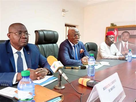 Togo La Ceni Maintenue Pour Les élections Sénatoriales Togo
