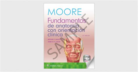 Moore Fundamentos De Anatomía Con Orientación Clínica