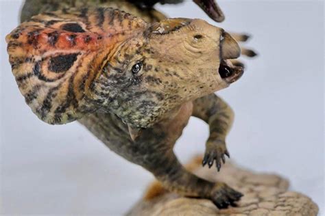 Velociraptor Vs Protoceratops Crecy Models