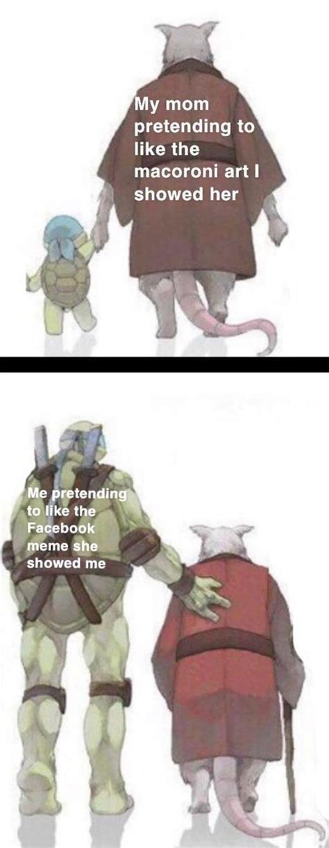 Thanks Mom Teenage Mutant Ninja Turtles And Splinter Know Your Meme