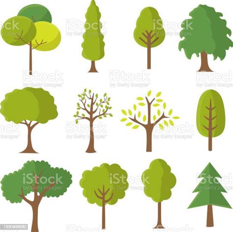 다양한 트리 벡터 숲과 자연 개념 다른 나무 기호의 컬렉션입니다 교육 및 교육 포스터 디자인 식물 및 나무 프리젠 테이션을 위해 그려진 벡터 나무에 대한 스톡 벡터 아트 및