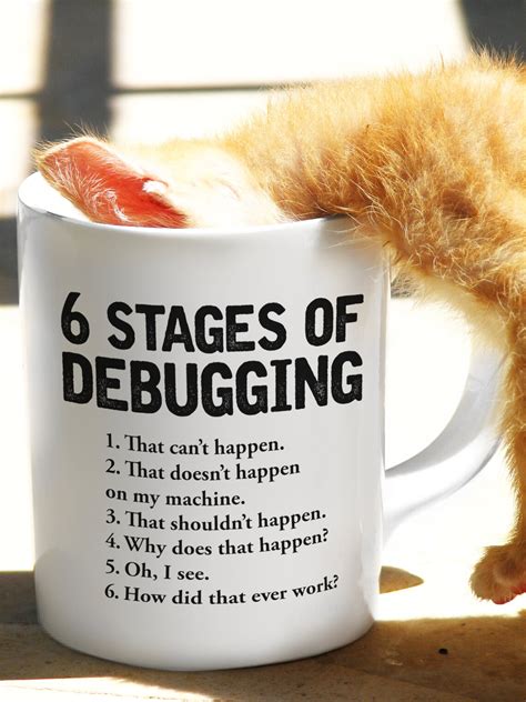 6 Stages Of Debugging Bug Coding Computer Science Programmer Etsy Canada