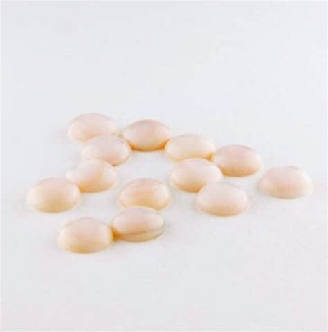 Tennessee River 10mm Pink Mussel Shell Round Cabochons 2 Etsy