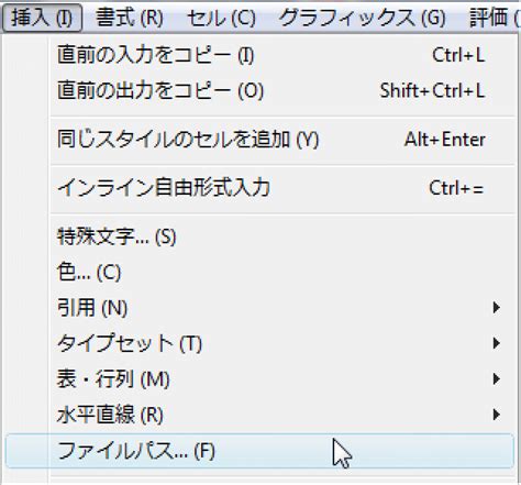 ファイルパスを挿入する方法—wolfram documentation