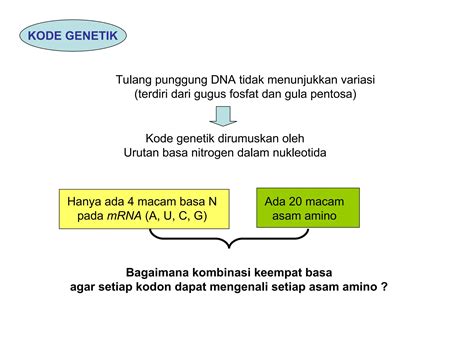 479658233 Genetika 03 Materi Genetikppt
