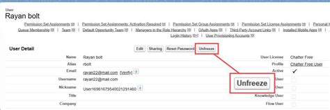 How To Freeze And Unfreeze User In Salesforce
