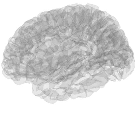 Plotting With Mne Viz Brain MNE Documentation