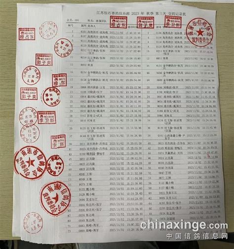 2023年世 界 杯职业信鸽联赛启东银石站 第三关集鸽现场 江苏启东银石赛鸽俱乐部 中信网各地公棚