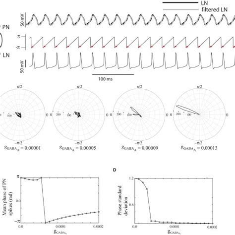 Schematic Of The Insect Olfactory System Projection Neurons Pns And Download Scientific