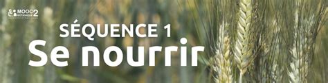 Ouverture Du Mooc Botanique Les Plantes Et Leurs Usages Tela