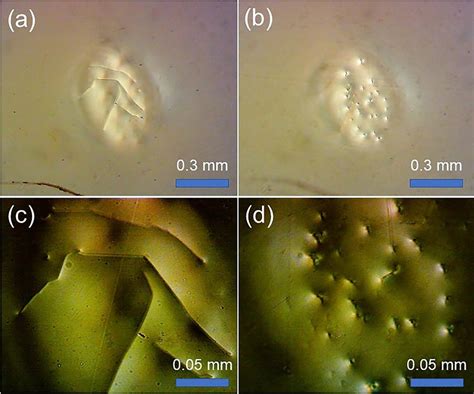 Micrographs Taken With The Microscopic System Ab Are Photographs