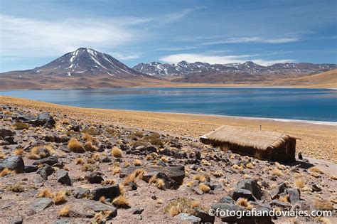 Salar De Atacama Y Lagunas Altiplánicas Agua En El Desierto