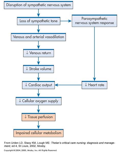 Neurogenic Shock Tr I Life Nurse Pathophysiology Nursing Critical