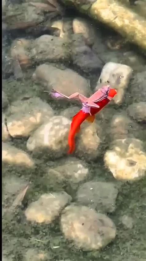 Ooooooooooo Album On Imgur