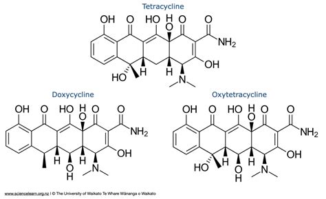 Chemical Structure Of Tetracyclines — Science Learning Hub