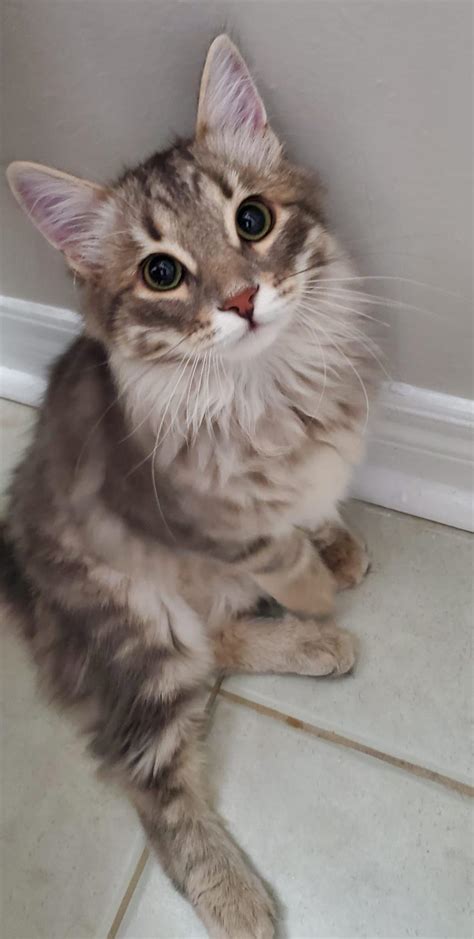 Princess Floof Rdisneyeyes