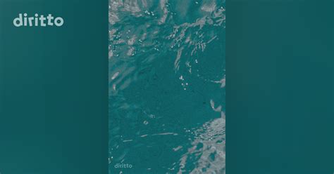 밤 파도에 밀려온 아침에게 디리토