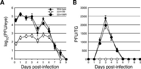 Acute Phase Replication In Eyes And Tg Of Wild Type 22n199 And