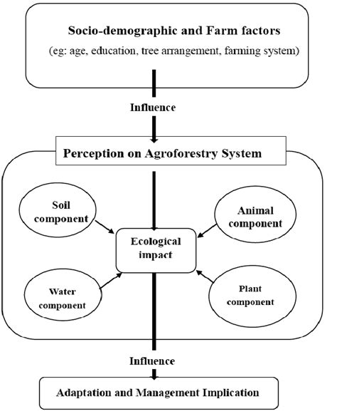 A Conceptual Framework Of Individuals Perceptions Of Ecological Impact Download Scientific
