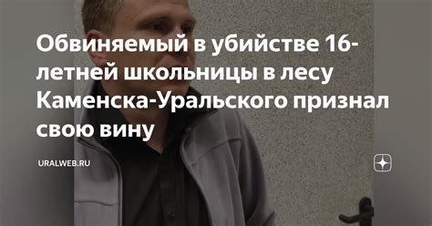 Обвиняемый в убийстве 16 летней школьницы в лесу Каменска Уральского