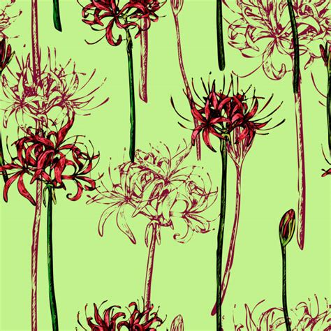 Red Spider Lily Illustrations Royalty Free Vector Graphics And Clip Art