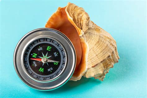 Compass And Large Seashell On Blue Background Creative Commons Bilder