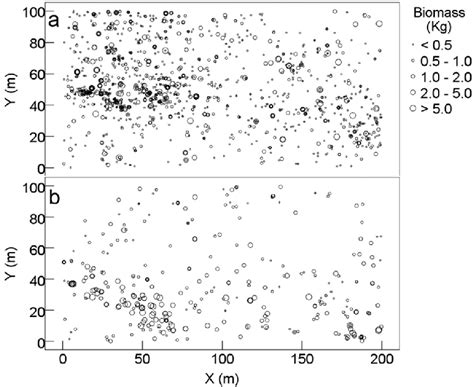 Spatial Distribution Pattern Of Aboveground Biomass Of Shrubs And
