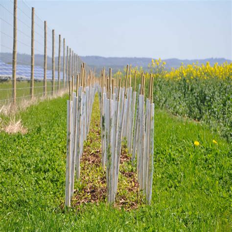 Tree Planting Products Green Tech