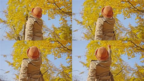 美女银杏林视频素材下载编号27979101光厂vj师网