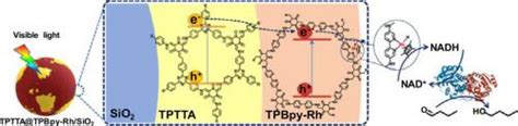 在二氧化硅上组装 Cof 层和电子介体用于可见光驱动的光催化 Nadh 再生 Applied Catalysis B Environment And Energy X Mol