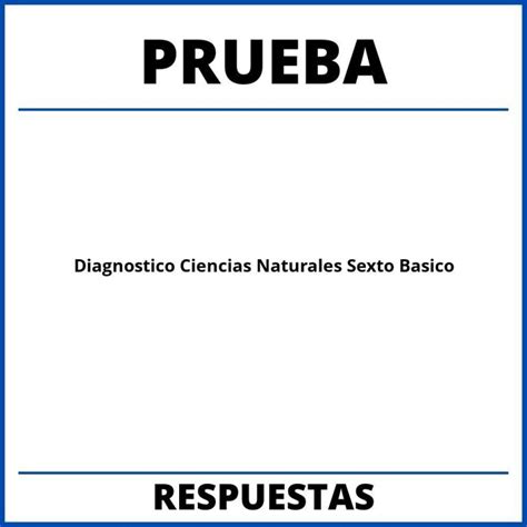 Prueba De Diagnostico Tercero Basico Ciencias Naturales 2025