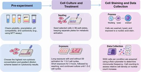In Vitro Mammalian Cell Micronucleus Test Creative Bioarray