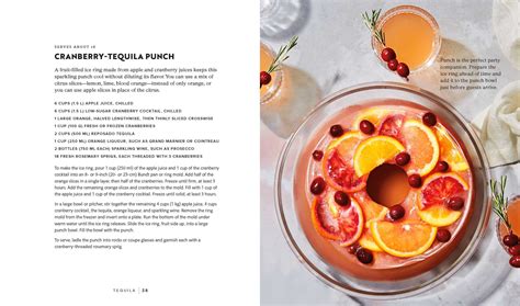 Cocktails Book By Williams Sonoma Test Kitchen Official Publisher