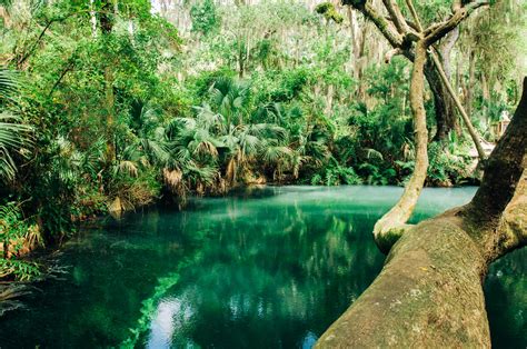 Elevation Of Cassadaga Fl Usa Maplogs