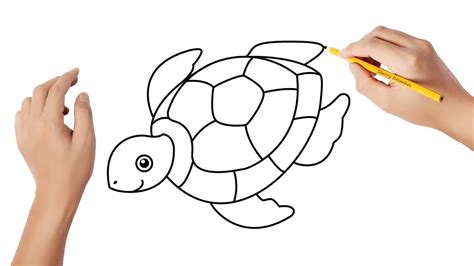 Tartaruga Marinha Desenho